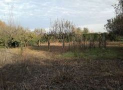 Locale commerciale in Vendita in Via Italo Svevo 16 a Cesate - 85mq ...