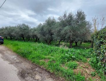 Terreno agricolo in Vendita in II Traversa Acqua dei Pioppi a Eboli ...