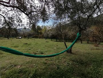 Terreno agricolo in Vendita in Via catelde a Giffoni Valle Piana ...
