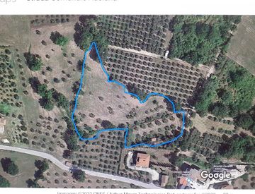 Terreno agricolo in Vendita in Via Ausiana 000 a Oliveto Citra ...