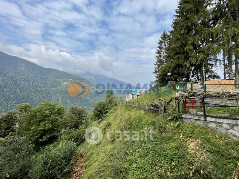 Rustici, casali in vendita a Albaredo per San Marco - Casa.it