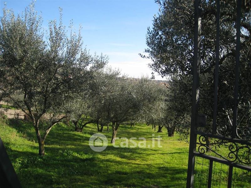 Terreni edificabili in vendita a Montefiascone in zona Le Mosse - Casa.it