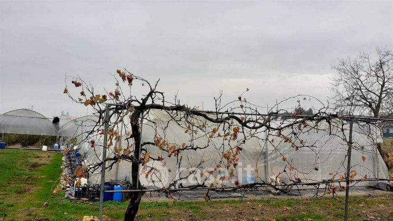 Rustici, casali grandi in vendita in Lombardia - Casa.it