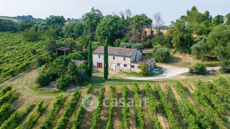 Rustico, casale in Vendita a Monte Roberto - 360mq - Casa.it