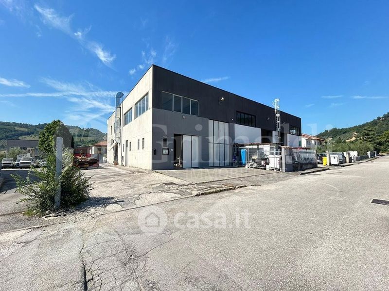 Capannoni in vendita a Castelplanio - Casa.it