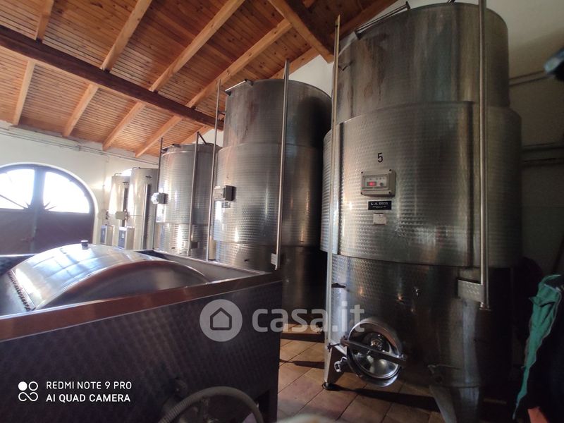 Enoteca in Vendita in zona Centro a Vignale Monferrato - 140000mq - Casa.it