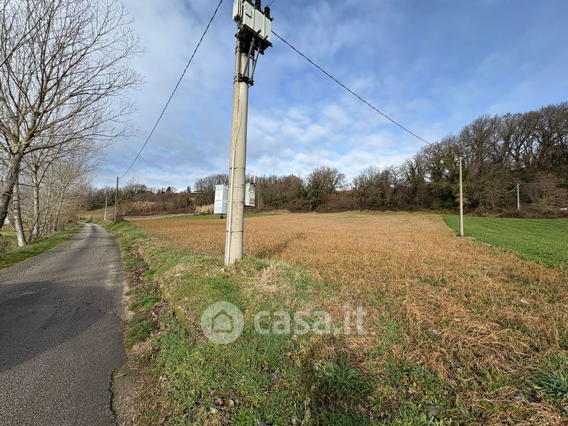 Terreno agricolo in Vendita in Via Campolargo a Macchia d'Isernia ...