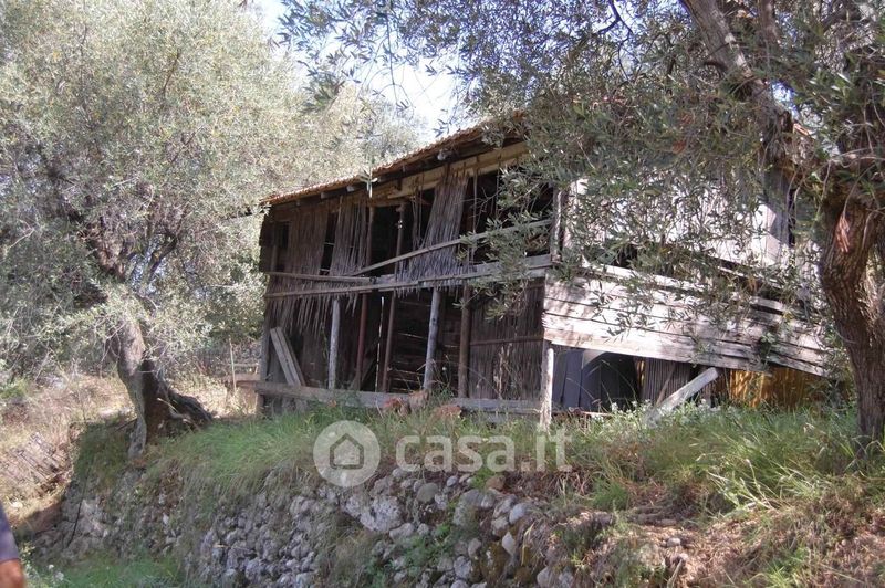 Terreni in vendita a Ventimiglia in zona Seglia San Bernardo - Casa.it