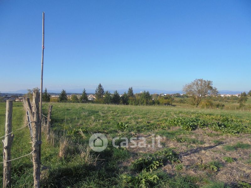 Terreni agricoli in vendita a San Miniato in zona San Romano - Casa.it