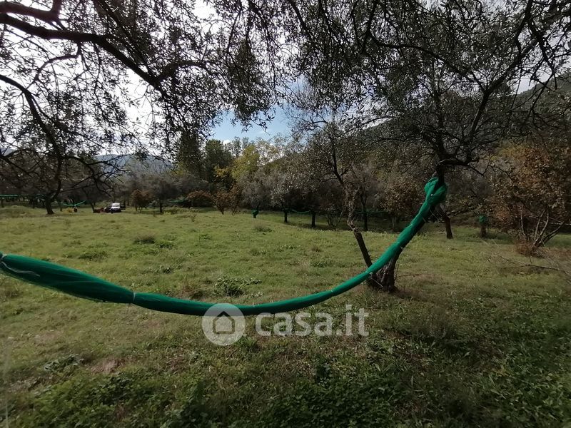 Terreno agricolo in Vendita in Via catelde a Giffoni Valle Piana ...