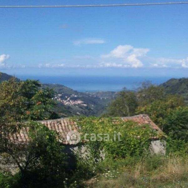 Terreno agricolo in Vendita in Contrada Maletta a Nocera Terinese ...