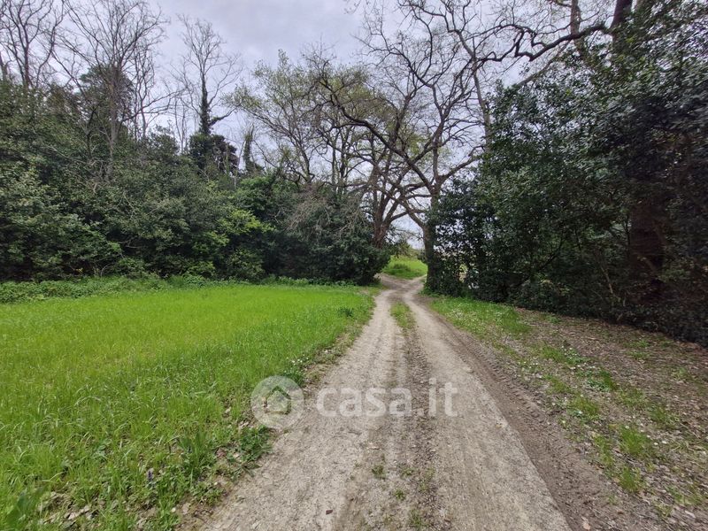 Case in vendita da privati a Pesaro - Casa.it